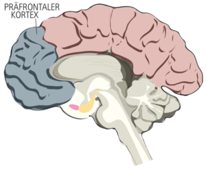 Die verschiedenen Facetten des Erfolgs - Welche Bedeutung haben dabei ...
